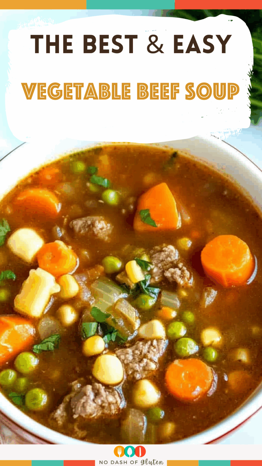Vegetable Beef Soup
