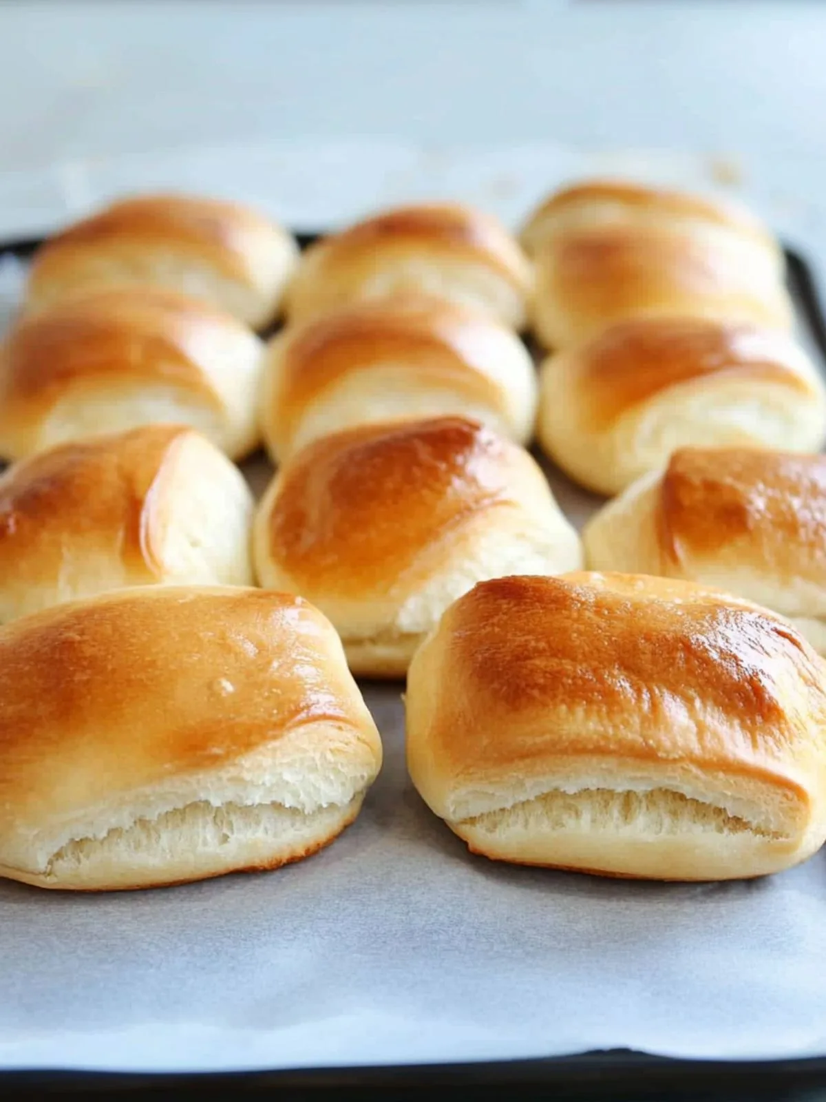 Parker House Dinner Rolls
